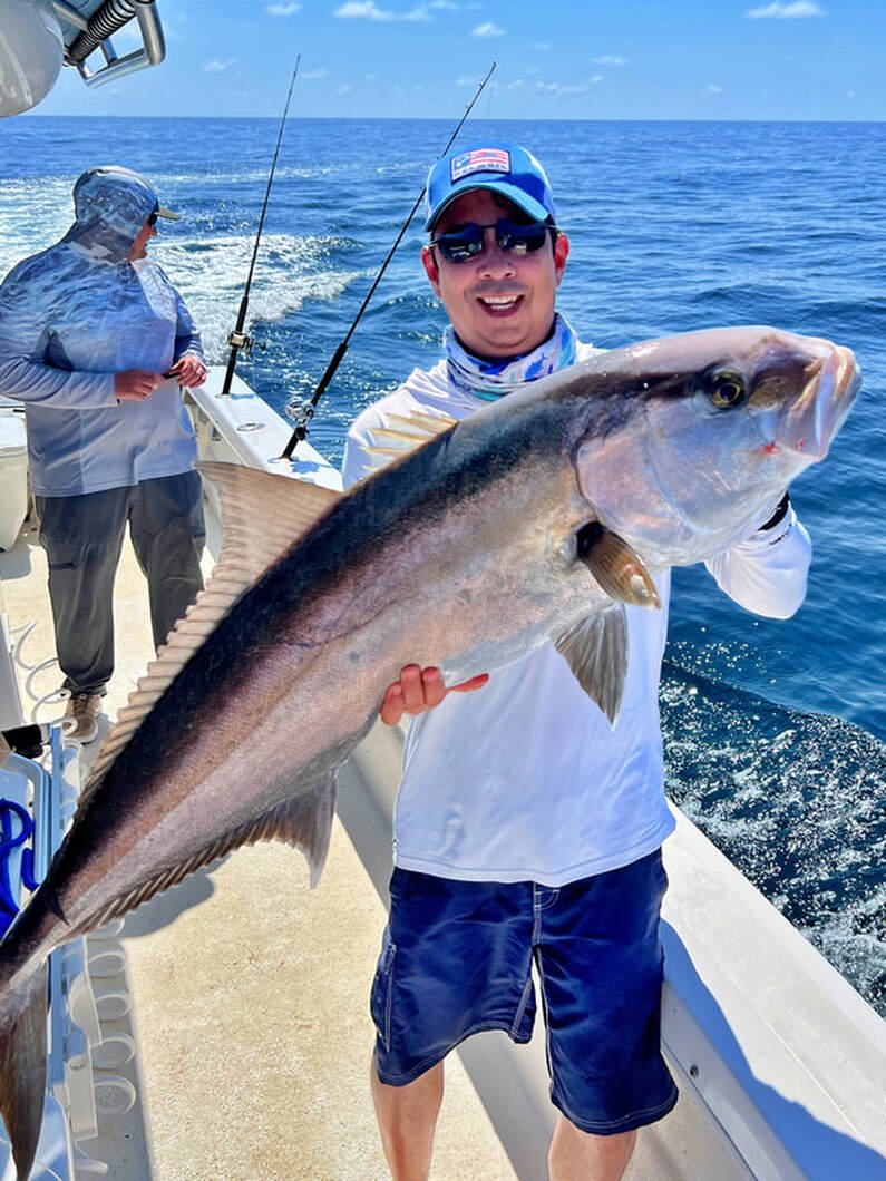 Amberjack Fish: The Powerful Predator of the Deep - Blog Vista